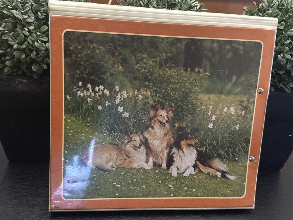 Vintage Mead Trapper Keeper Notebook Orange w/Collie Dogs & Flowers | eBay