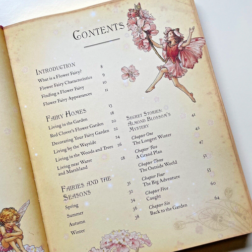 The Girls' Book of Flower Fairies - Hardcover - art by Cicely Mary ...