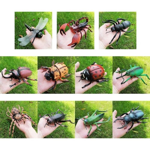 Fake Realistic Spiders Cricket Grasshopper Ant | eBay
