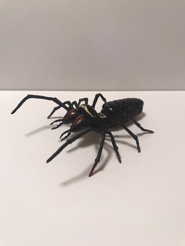 Handmade Hand-painted 4" Black Camel Spider Rhagodes Solifugae Figurine ...