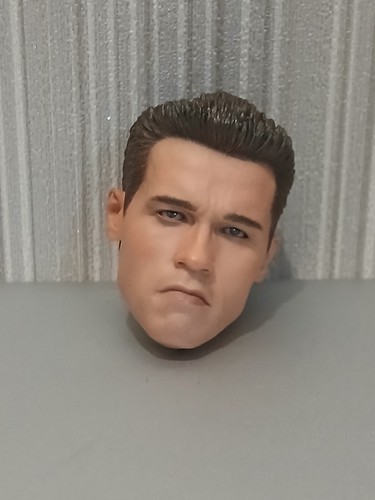 1/6 Scale Hot Toys DX10 Terminator 2 Judgment Day T-800 head sculpt | eBay
