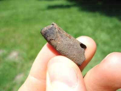 RARE BABY SLOTH TOOTH FLORIDA FOSSILS ICE AGE CLAW CORE TEETH JAW BONES ...