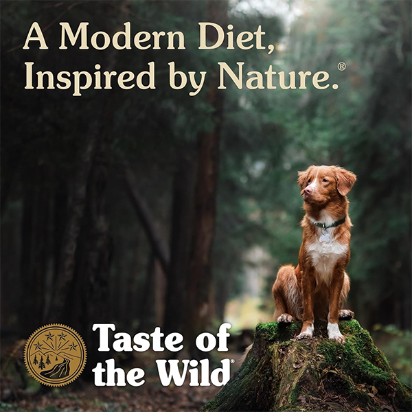 Taste of the Wild Ancient Prairie Canine Recipe Roasted Bison Dry Dog ...