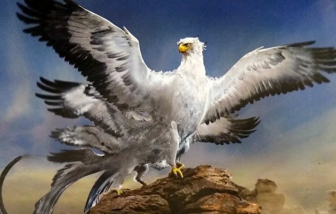 Thunderbird Bird Art