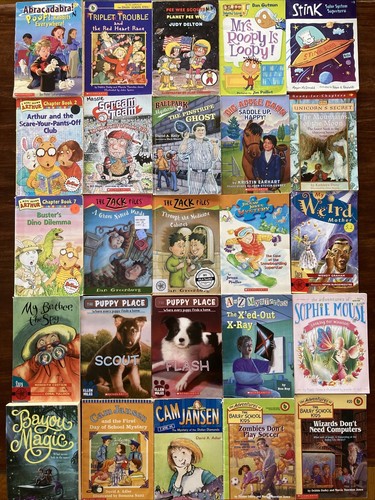 (Lot of 25) 3rd Grade Accelerated Reading Chapter Books RL3 Classroom ...
