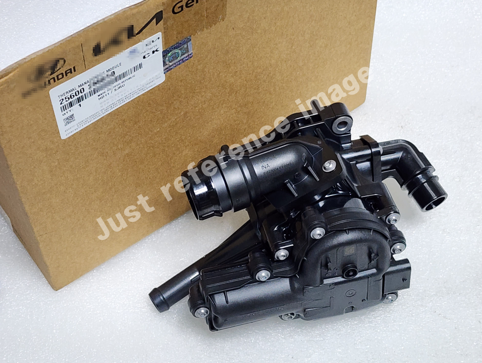 Genuine 256002J110 INTEGRATED THERMAL-MANAGEMENT MODULE for Hyundai ...