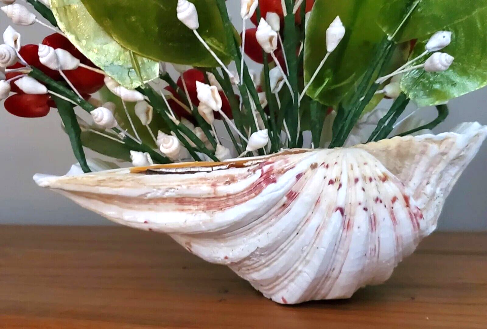 Rare Giant Clam Shell Vintage Seashell Art Flowers Arrangement Rose ...