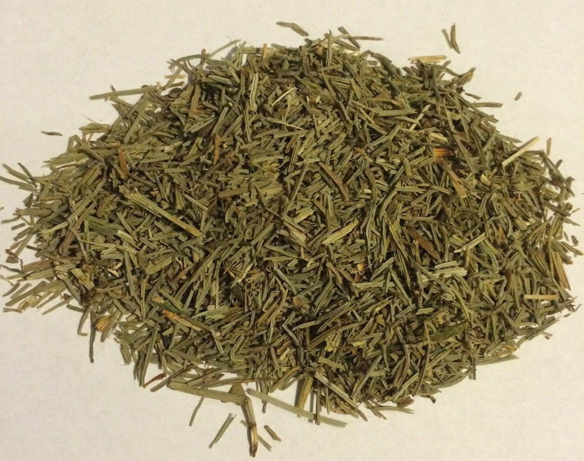 Horsetail Organic Dried Cut Shavegrass ~ Equisetum Arvense ~ 100% ...