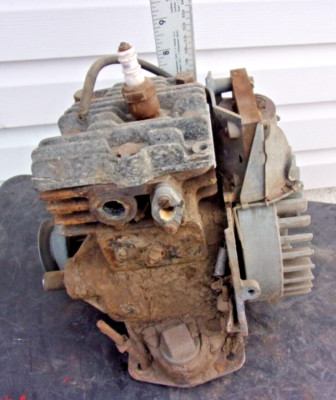 Engines - Vintage Briggs Stratton Model