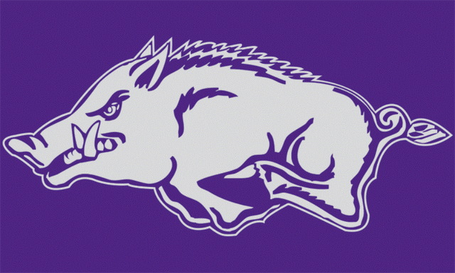 Walhalla Razorbacks South Carolina Mascot Flag 3x5 ft TK Polyester ...