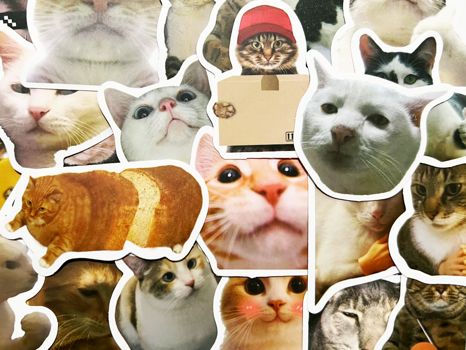 10-50 Cat Meme Stickers Kitty Faces Cute Cats Decals Laptop Phone Water ...