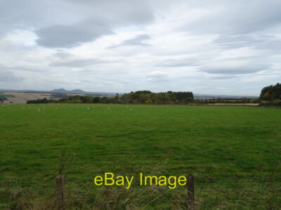 Photo 6x4 Sheep grazing towards the Ruecastle Burn Bedrule Off the ...