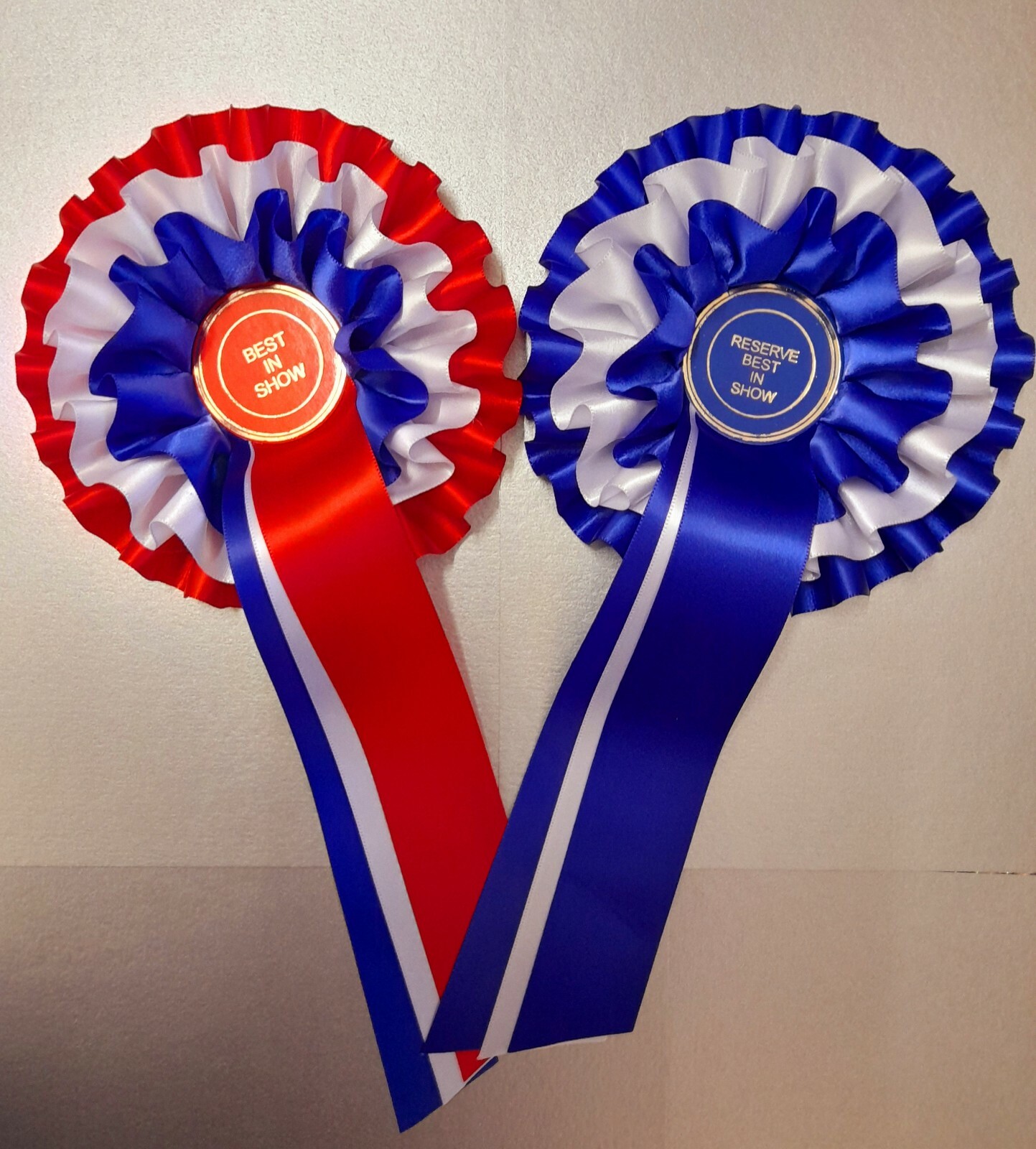 1st To 4th X10 best in show reserve judge steward 44 rosettes dog show ...