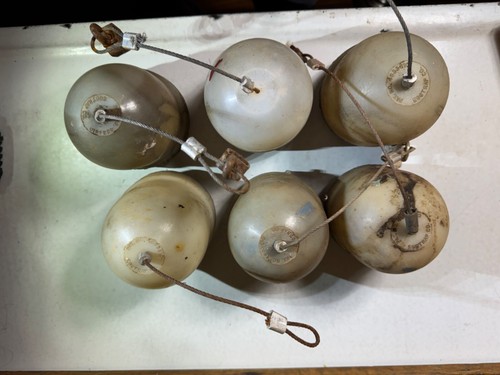 Used Six (6) Egg Traps - Coon Cuff- Dog Proof | eBay