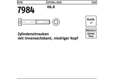 Reyher Zylinderschraube DIN 7984 m.Innensechskant M 3 x 8 8.8 | eBay.de