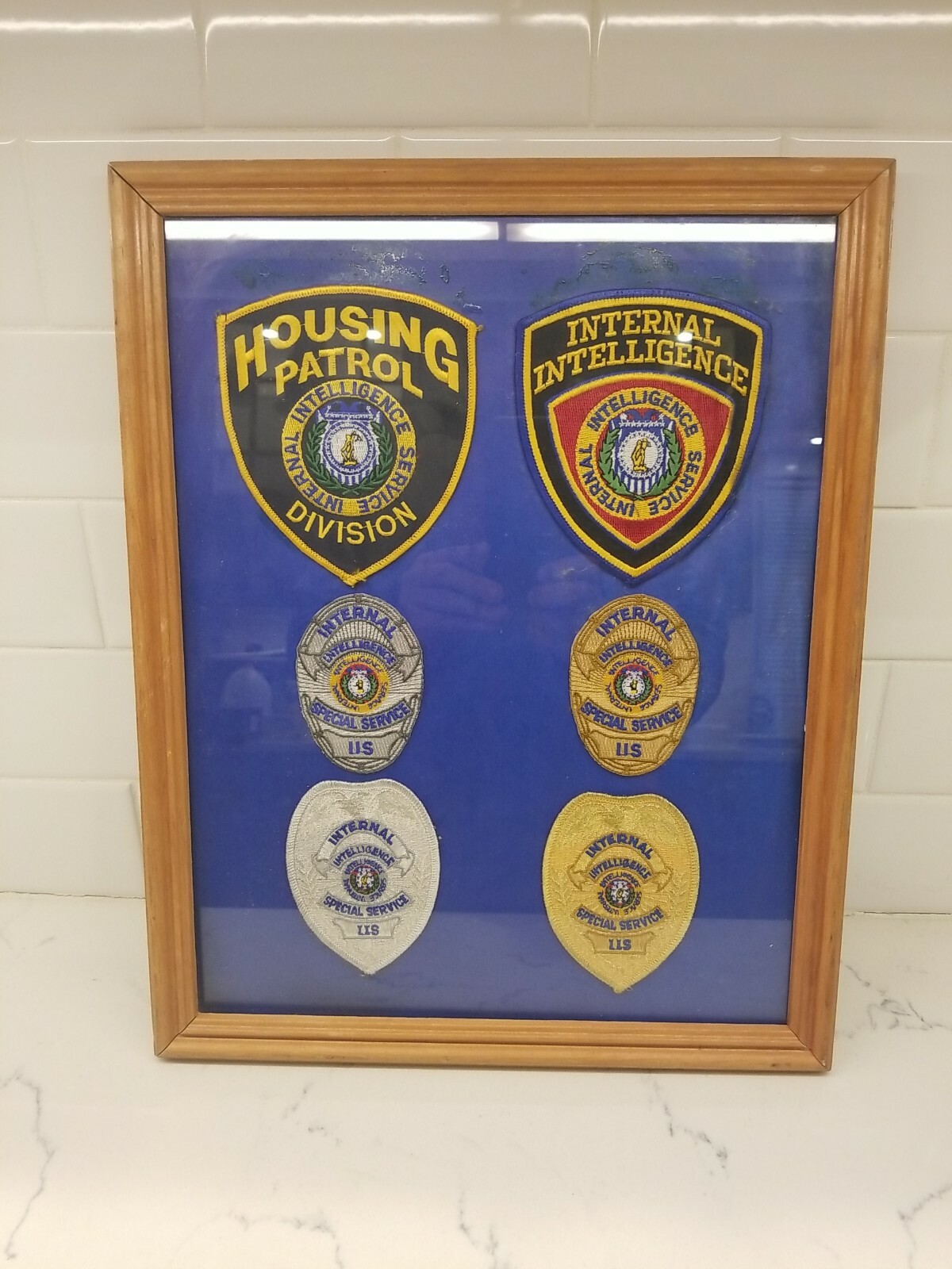 Law Enforcement Intelligence Unit Emblems