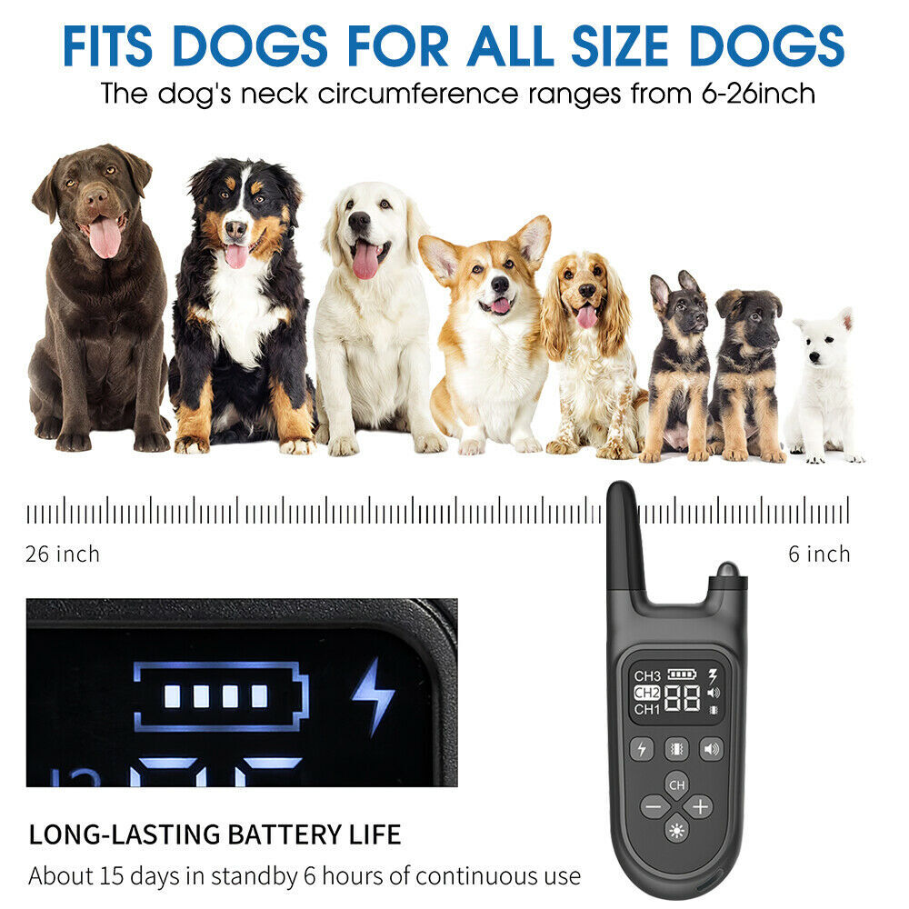 800M Electric Shock Dog Training Collar Anti-Bark Obedience With Remote ...