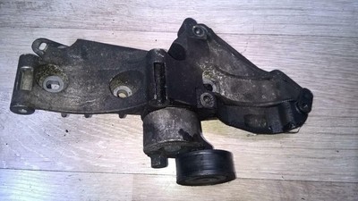 8200048486 Tensioner Belt (Gates Tensioner Pulley) for Renault Meg ...