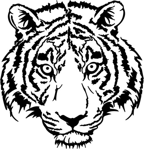 A beautiful tiger die cut vinyl sticker or decal. Great for Car or ...