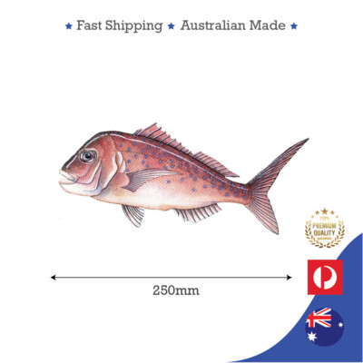 Snapper full colour cut ready install Decal Fishing Boat Sticker Decal ...