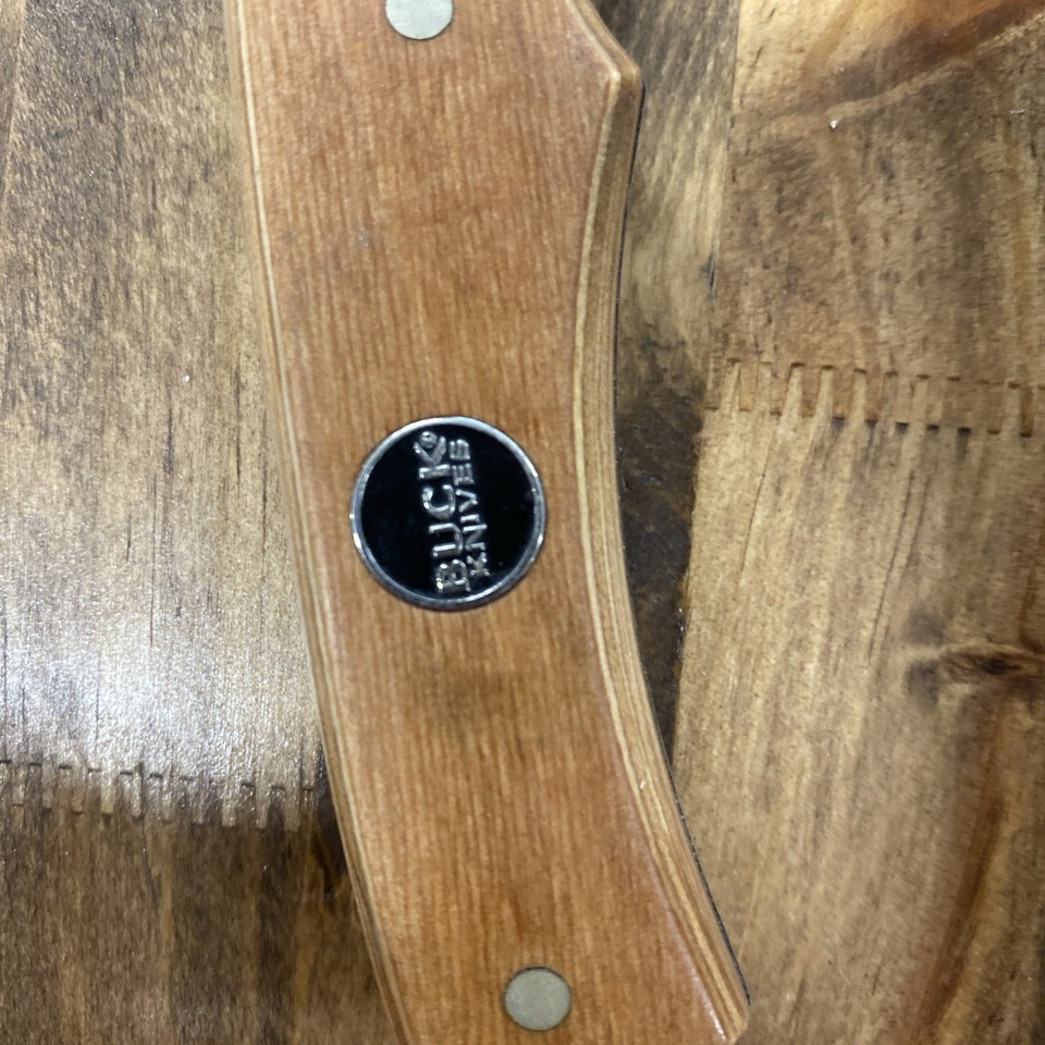 Buck 728 Skinner Fixed Blade Hunting Knife Full Tang 2004 | eBay