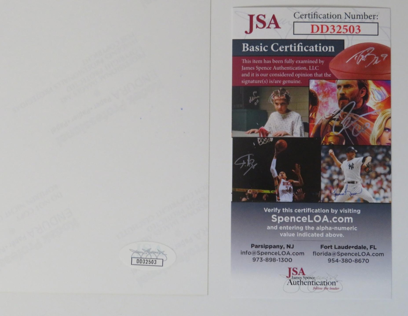 The Honkettes LYNYRD SKYNYRD Signed Autograph Auto 8x10 Photo JSA | eBay