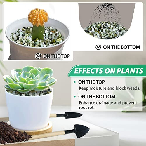 Succulent Rocks for Plants Tiny Pebbles for Planters 2.8LB Pea Gravel ...