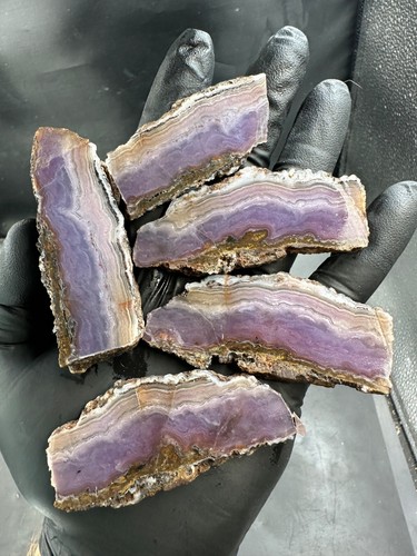 Aztec Crazy Lace Agate slabs and faced rough old stock Mexican banded ...