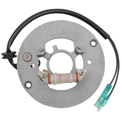 Ricks Electric Magneto Stator Yamaha BW80 Big Wheel PW80 | eBay