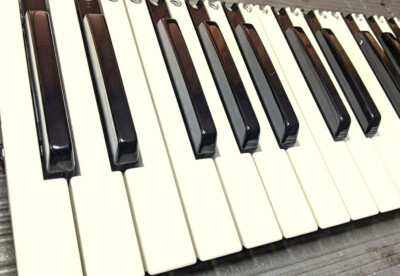 ARTURIA KeyLab Mk1 Replacement Keys (Spare Part) | eBay Australia