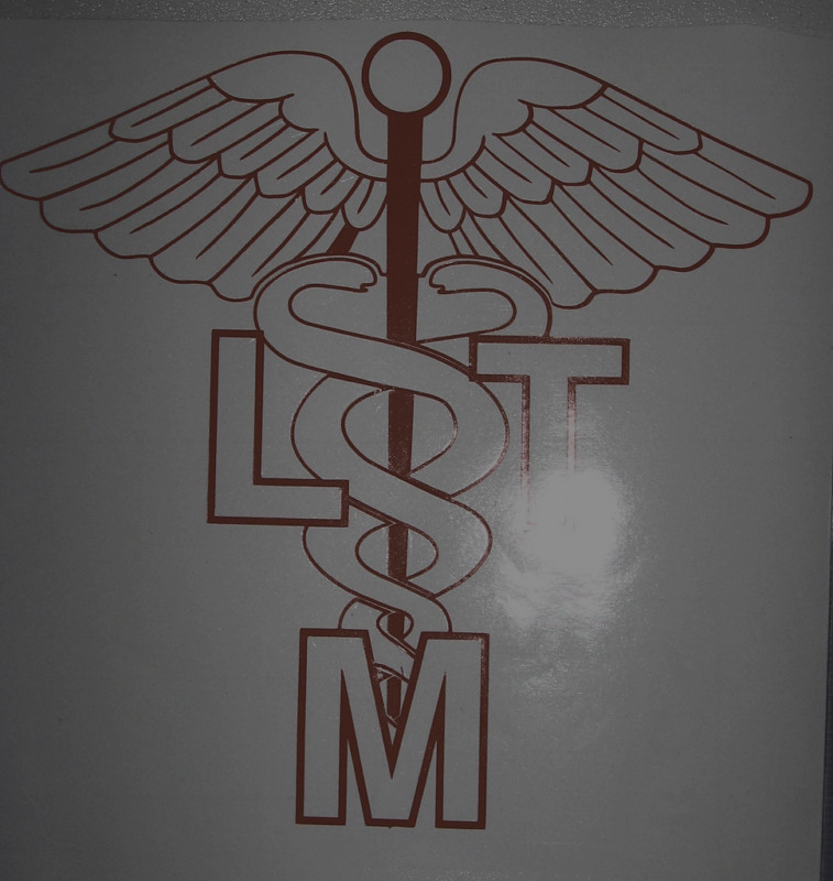 WINDOW, RN, PT, OT, PT, RX, RT, MT MEDICAL, CAREER DECALS | eBay