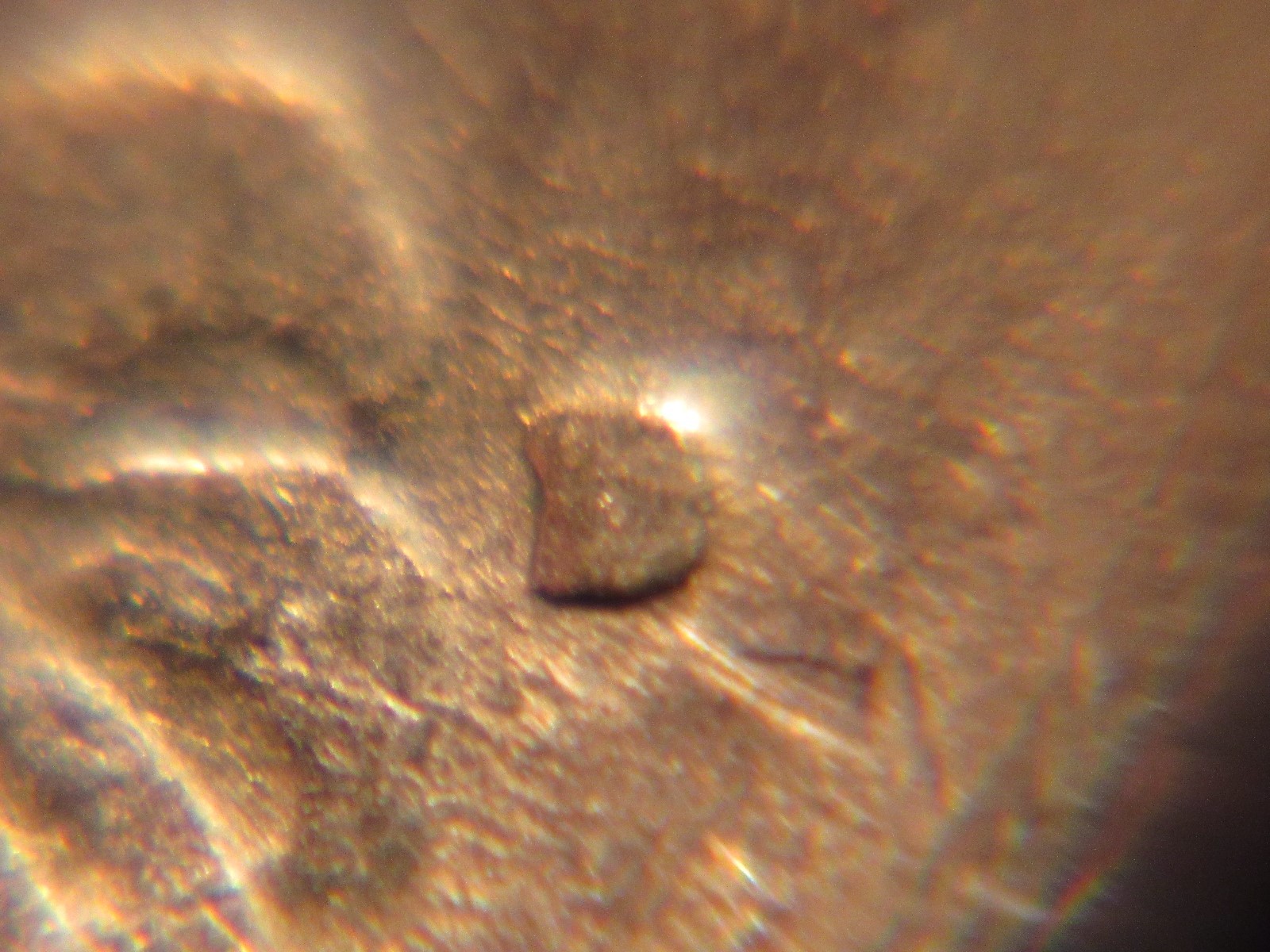 1972 D Washington Quarter with Obverse "Filled In" Mint Mark Error | eBay