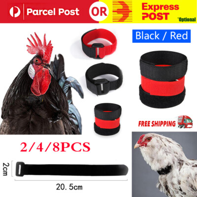 Anti Crow Collar for Roosters Cockerel Poultry No Crow Noise Nylon Belt ...