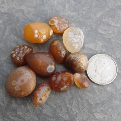 50Grams Natural Gobi eye agate/Jasper stone for Bonsai Suiseki gm947 | eBay