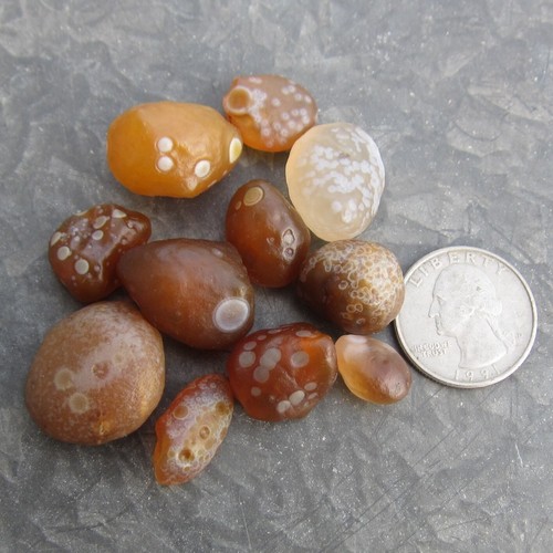 50Grams Natural Gobi eye agate/Jasper stone for Bonsai Suiseki gm947 | eBay