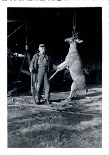 1950s DEER HUNTER ORIGINAL VINTAGE PHOTO RIFLE HUNTING 3 POINT DEER 5 x ...