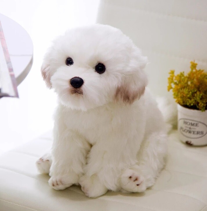 26cm Maltese Bichon Frise Puppy Dog 8 Inch Stuffed Animal Plush Toys ...