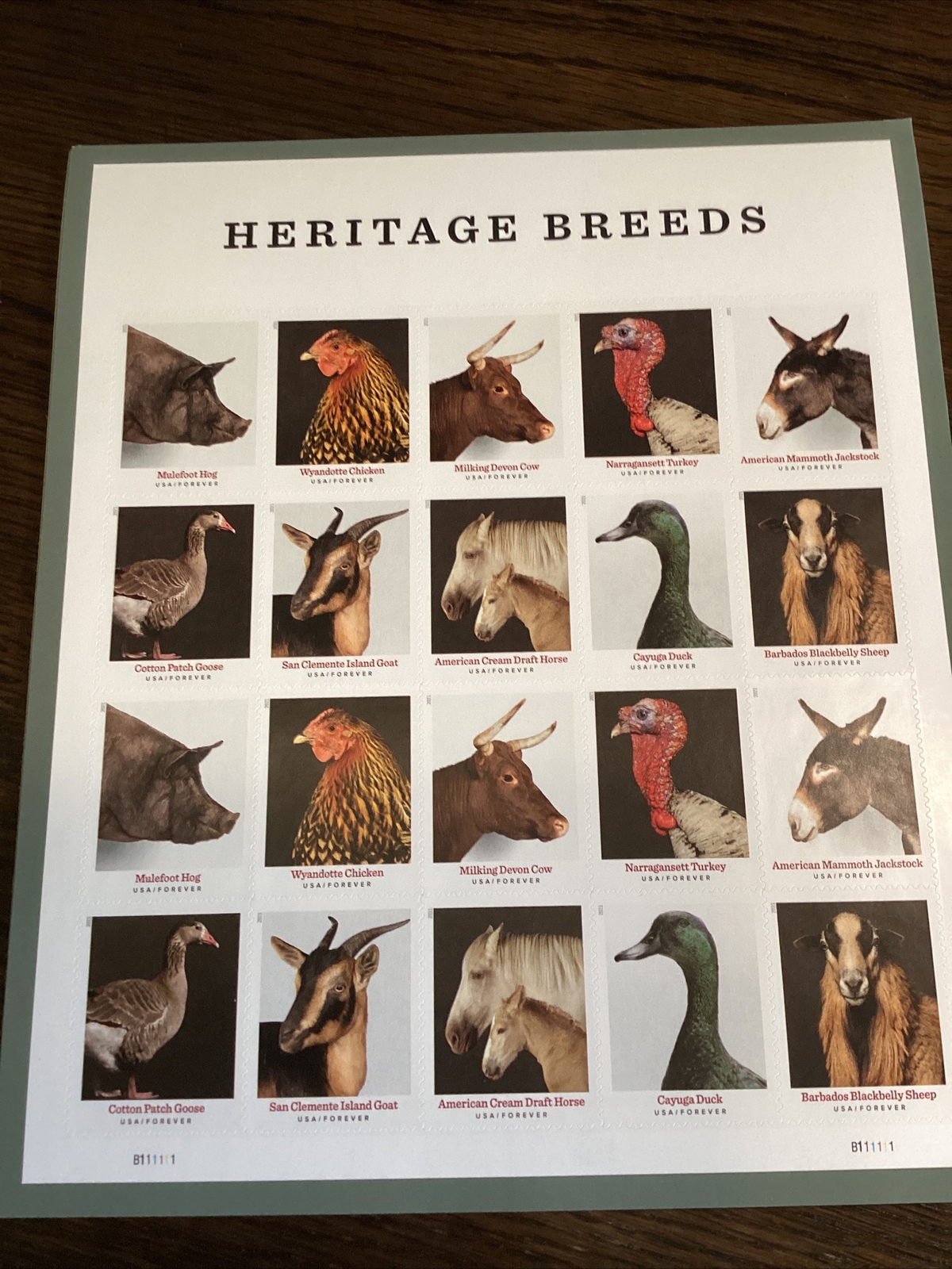SCOTT # 5583-92 - HERITAGE BREEDS-SHEET OF (20) FOREVER STAMPS-MNH-2021 ...