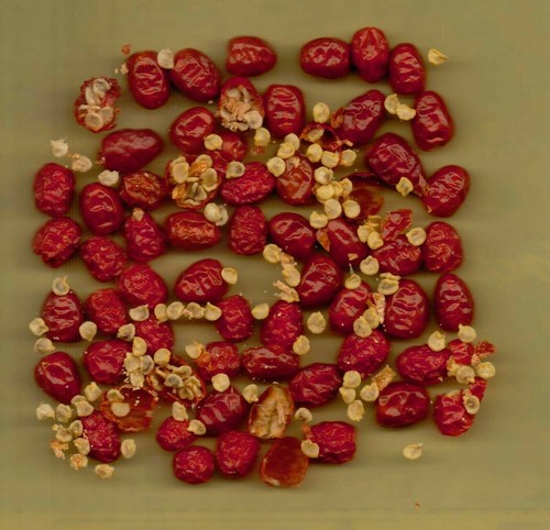 Birdseye Pequin Pepper Seeds.Semillas deChile Piquin 15+( TEXAS Wild ...