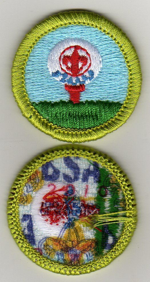 Golf Merit Badge, Type K, "BSA 2010" Back (2010-12), Mint! | eBay