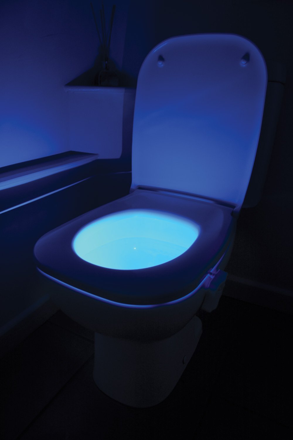 Toilet Bowl UK Loo Light Motion Operated LED Safe BOAT CARAVAN VW ...