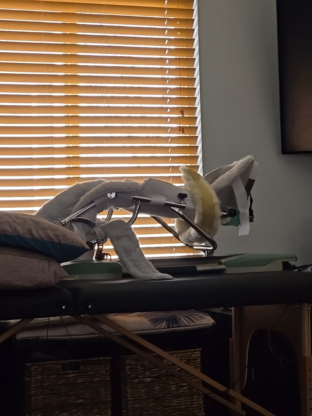 Natus Technology Xltek Trex HD Video Ambulatory EEG | eBay