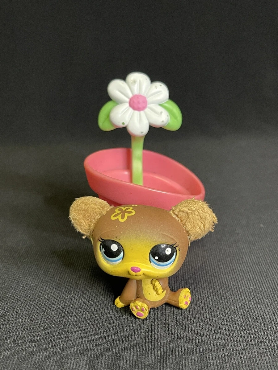 Littlest Pet Shop Bear Drawing