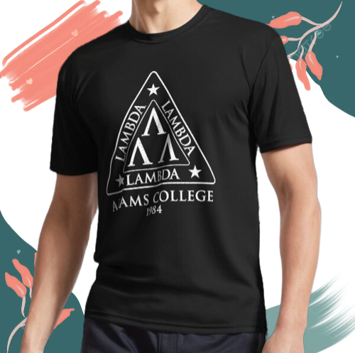 NEW! Lambda Logo Funny USA Size Unisex Hoodie & T-Shirt | eBay