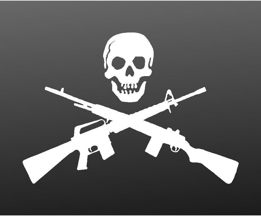 Skull And Crossed Rifles