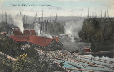 ONE OF MANY LOGGING IN ELMA WASHINGTON POSTCARD (c. 1908) | eBay