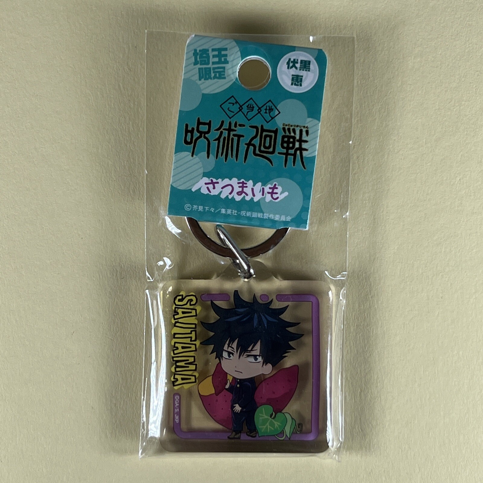 Jujutsu Kaisen *5x Keychains* ~Megumi Fushiguro~ Asakusa Shrine Mt Fuji ...