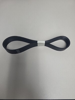 Pacemaster SX Pro Treadmill Drive Belt (34D) | eBay