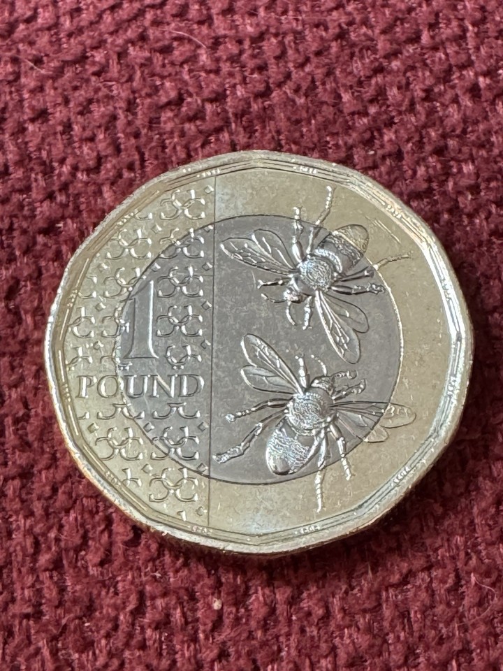 VERY RARE KING CHARLES THIRD BEES 2023 £1 POUND COIN, NO CROWN BY RIGHT ...