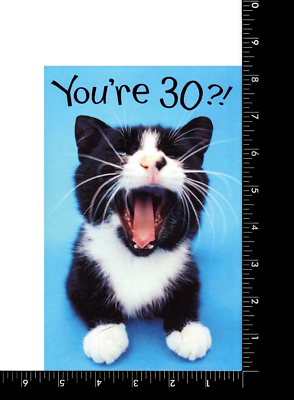 Happy 30th Birthday Cat Meme 30th Cat Birthday Cards & Templates